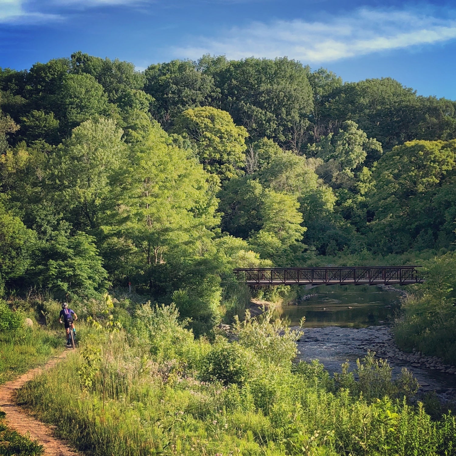 Favourite Rides: Don Valley Trails – Mariposa Bicycles